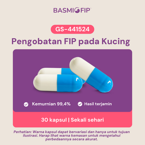 Kapsul Oral FIP, 30 Hari Pengobatan, Kucing