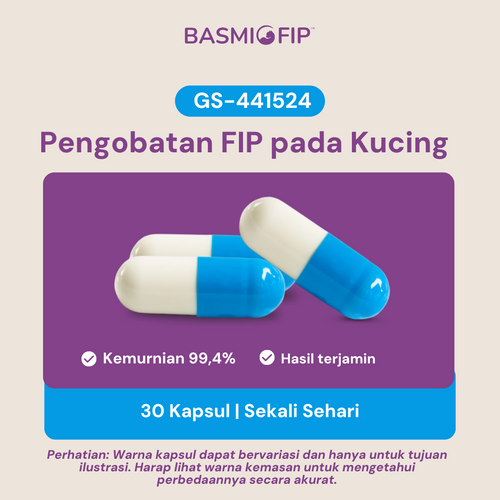 Oral Capsules, 30 Days Treatment, Cats > 4kg | Basmi FIP Indonesia