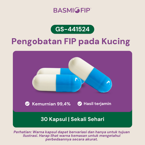 FIP Oral Capsules, 30 Days Treatment, Cats 2.5 ~ 4kg | Basmi FIP Indonesia