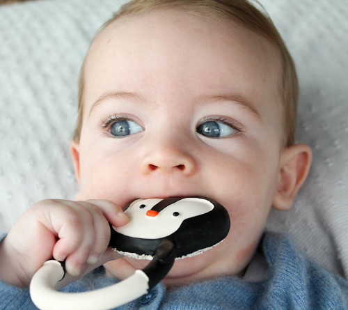 Nui the Penguin Teether | chalk + cheese