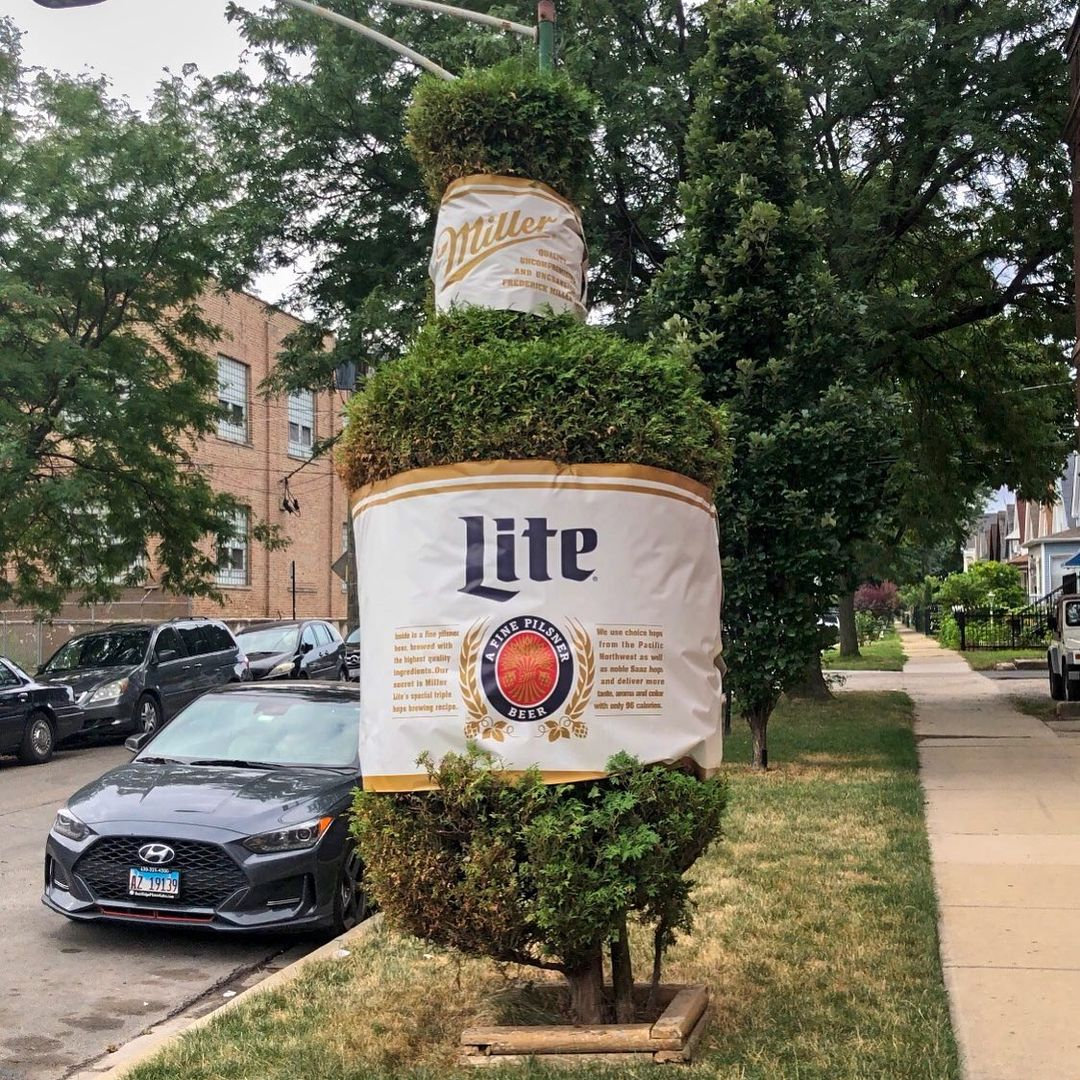 Miller Lite Bush