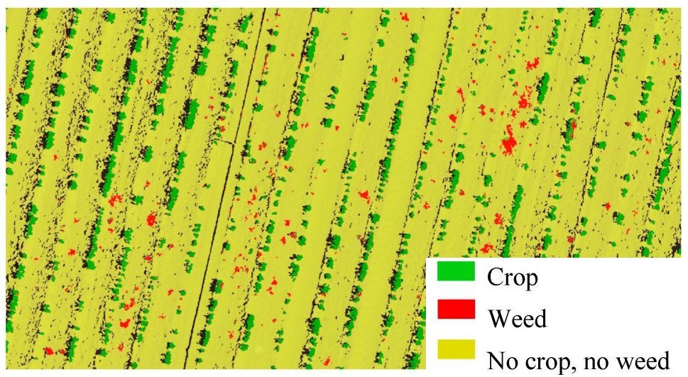 UAV Imaging and Object Based Image Analysis for early weed mapping