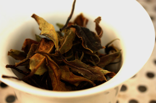 【小茶米農園】紅玉白茶｜Ruby (TTES #18) White Tea | 鄉菜ShiangTsai