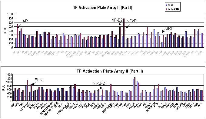 Lysosomal Stress TF Activation Profiling Plate Array | Signosis