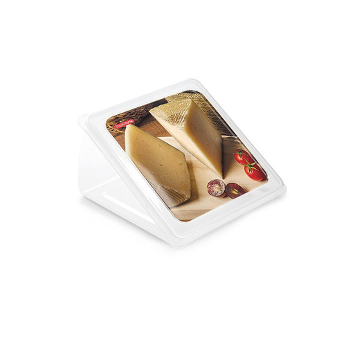 Cheese Wedge Container | sort-your-stuff