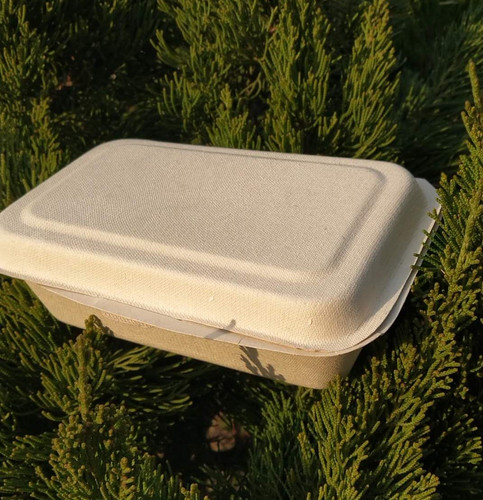 Paper pulp clam shell - Rough texture finish | JinPei International