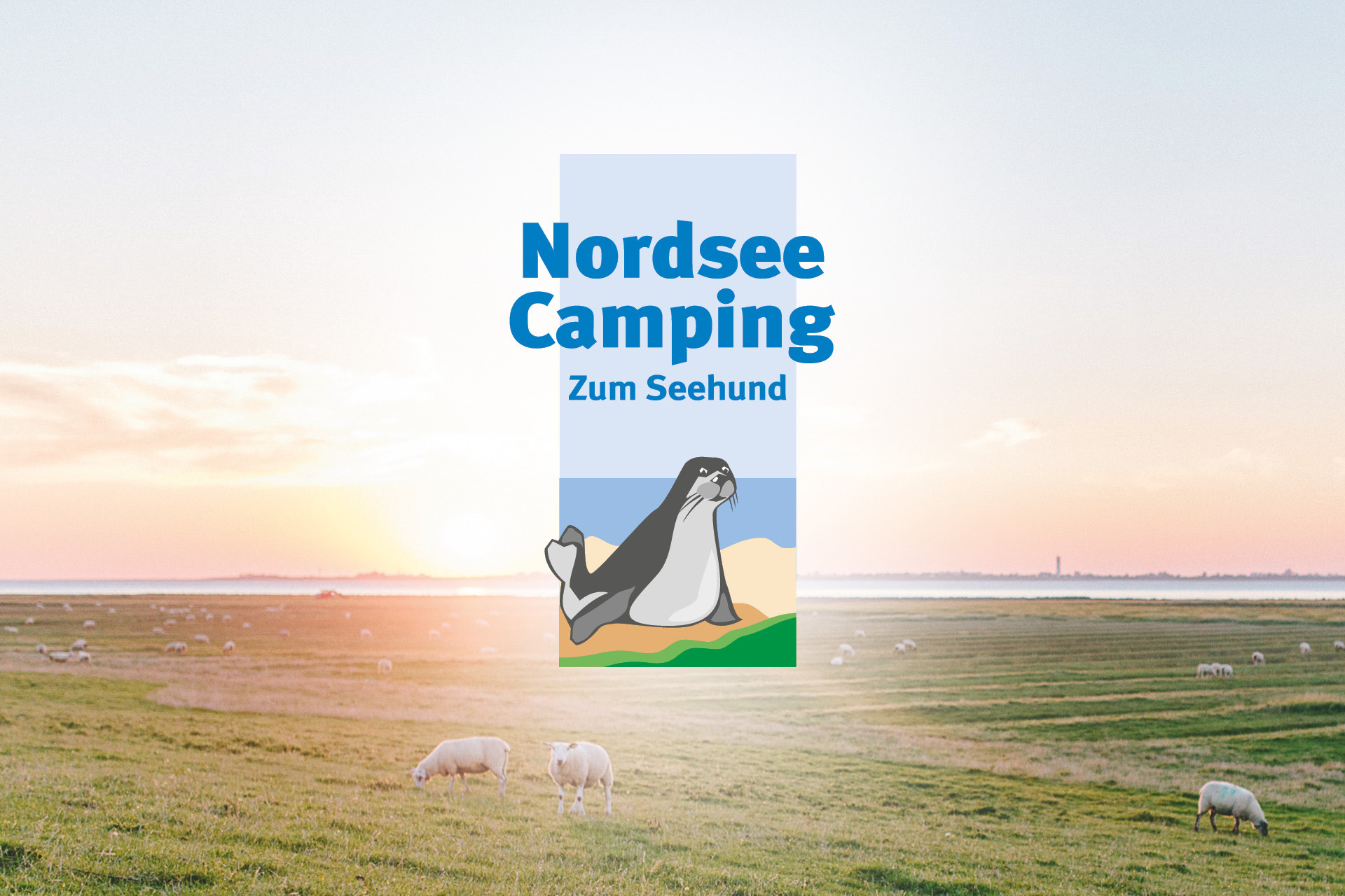 Nordsee-Camping in Nordfriesland | Nordseecamping zum Seehund - Simonsberg