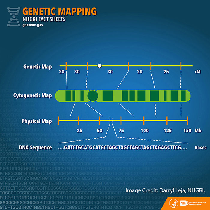 Genetic Testing and Genomic Analysis: National Human Genome Research ...