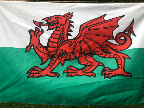 The Flag of Wales | Spring Valley Lodges