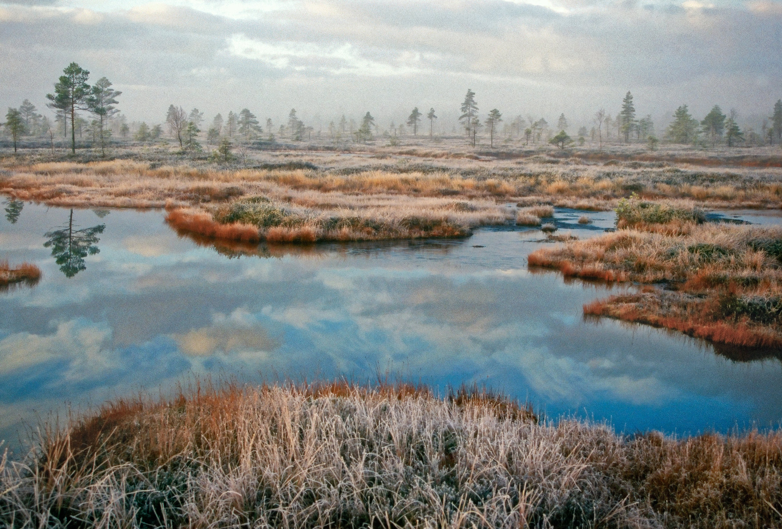 NORDICS & BALTICS | fine by nature