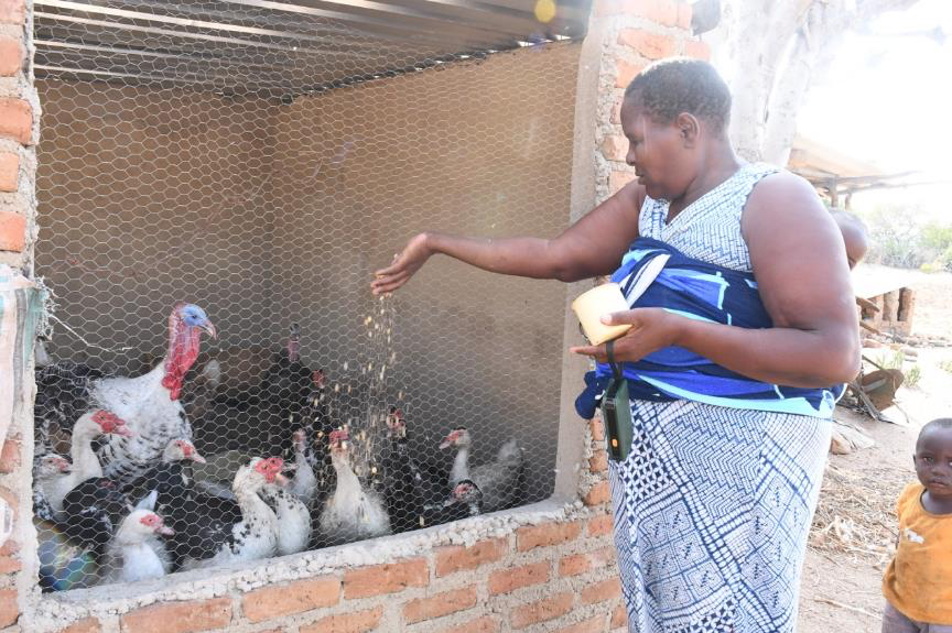 Diversified small livestock farming provides sustenance for farmer