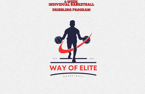 4-week individual basketball dribbling workout program | WAY OF ELITE