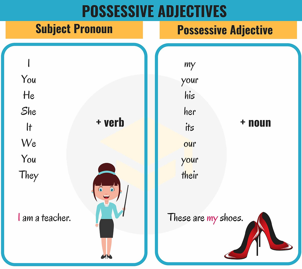 POSSESSIVE ADJECTIVES possessive-adjectives