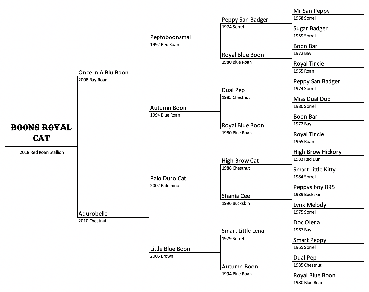 Boons Royal Cat | ashleyquarterhorses