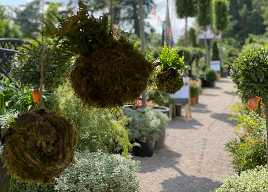 Kokedama Workshop | Leaf Creative