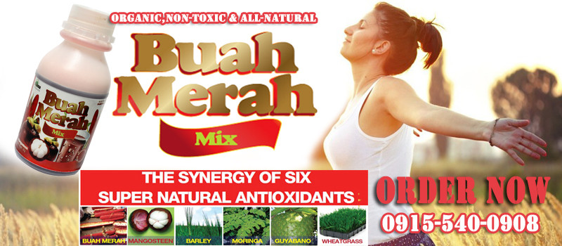 About Buah Merah | officialwebsite