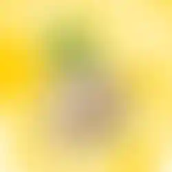 HOME | Activeplusblue