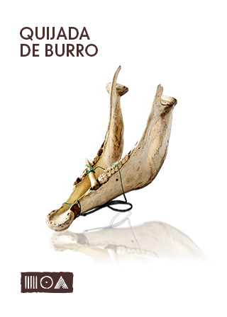 Quijada de Burro | Sounds of the Earth