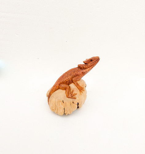 Unusual Hand Carved Frilled Lizard Wooden Lizard | plantationdesigns