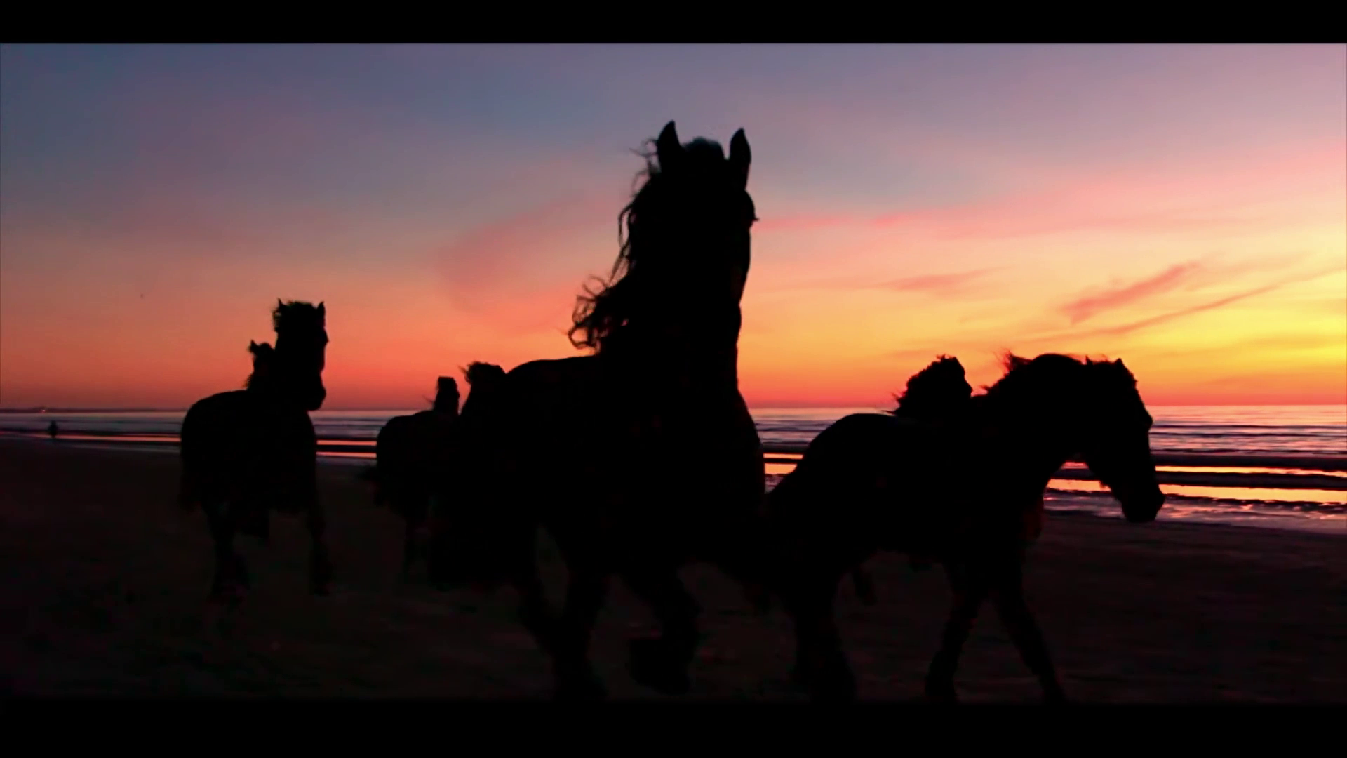The Caravan Film