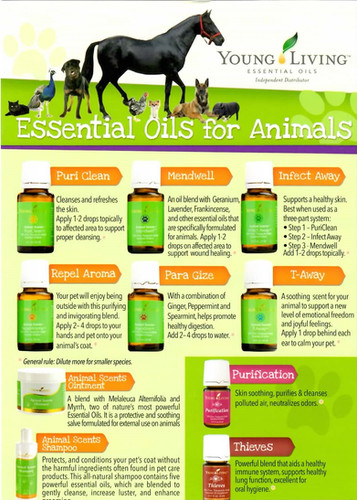 Young Living ESSENTiAL OILS FOR ANIMALS Flier | myoilyhabit