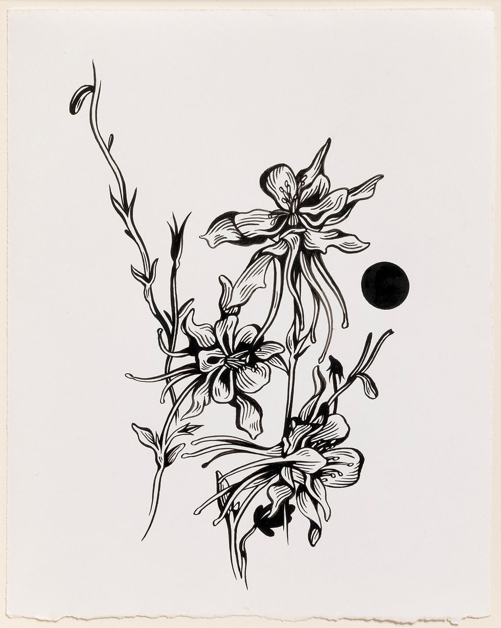 Var Gallery & Studios | Art Gallery | Milwaukee, WI