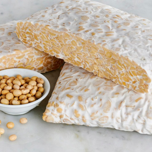 Fresh Frozen Organic Tempeh - 2kg (4 x 500g) | ProTempeh