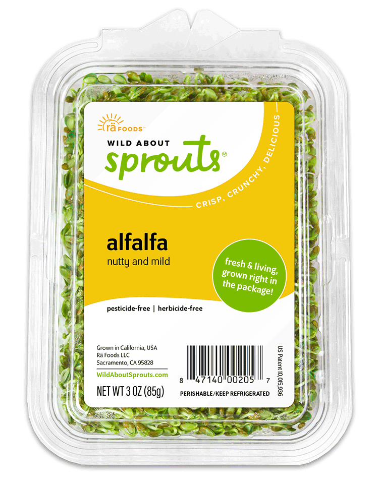 Home Page | Wild About Sprouts