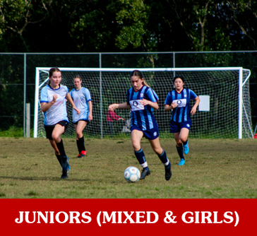 Community_Football_Club | Roselea Football Club | Carlingford