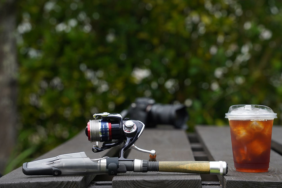 ORCA fishing rod「ARCHER SPLASH TL」スピニングモデル | orca