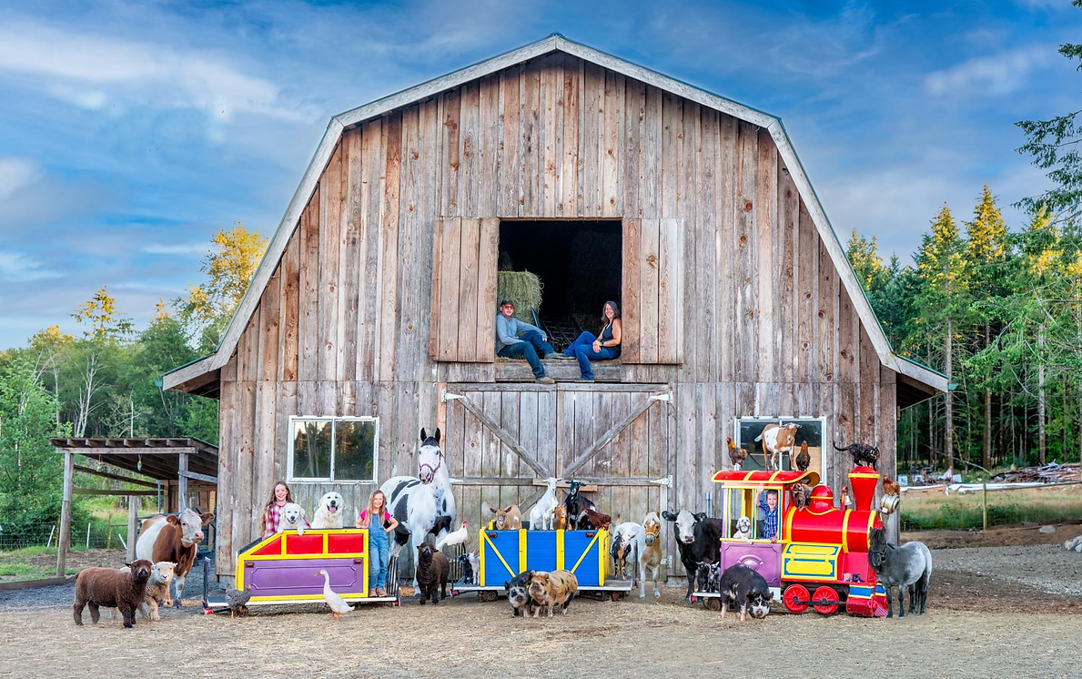 HOME | Miniature Animal Farm Comox Valley British Columbia