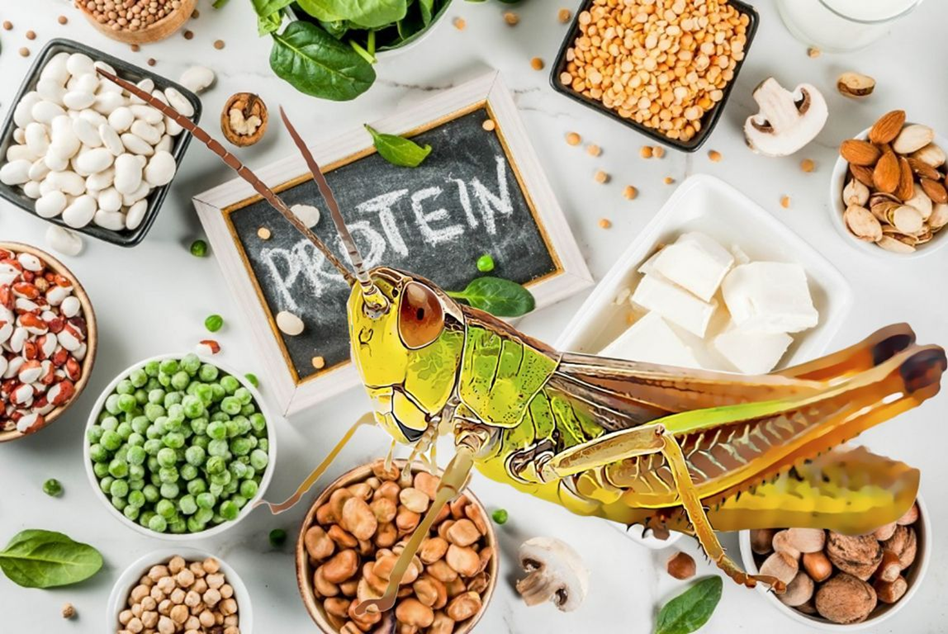 The Rise of Alternative Protein