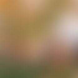 CMMD & Associates Medical Practice