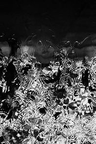 Home | Paul Foreman Consulting and Catering