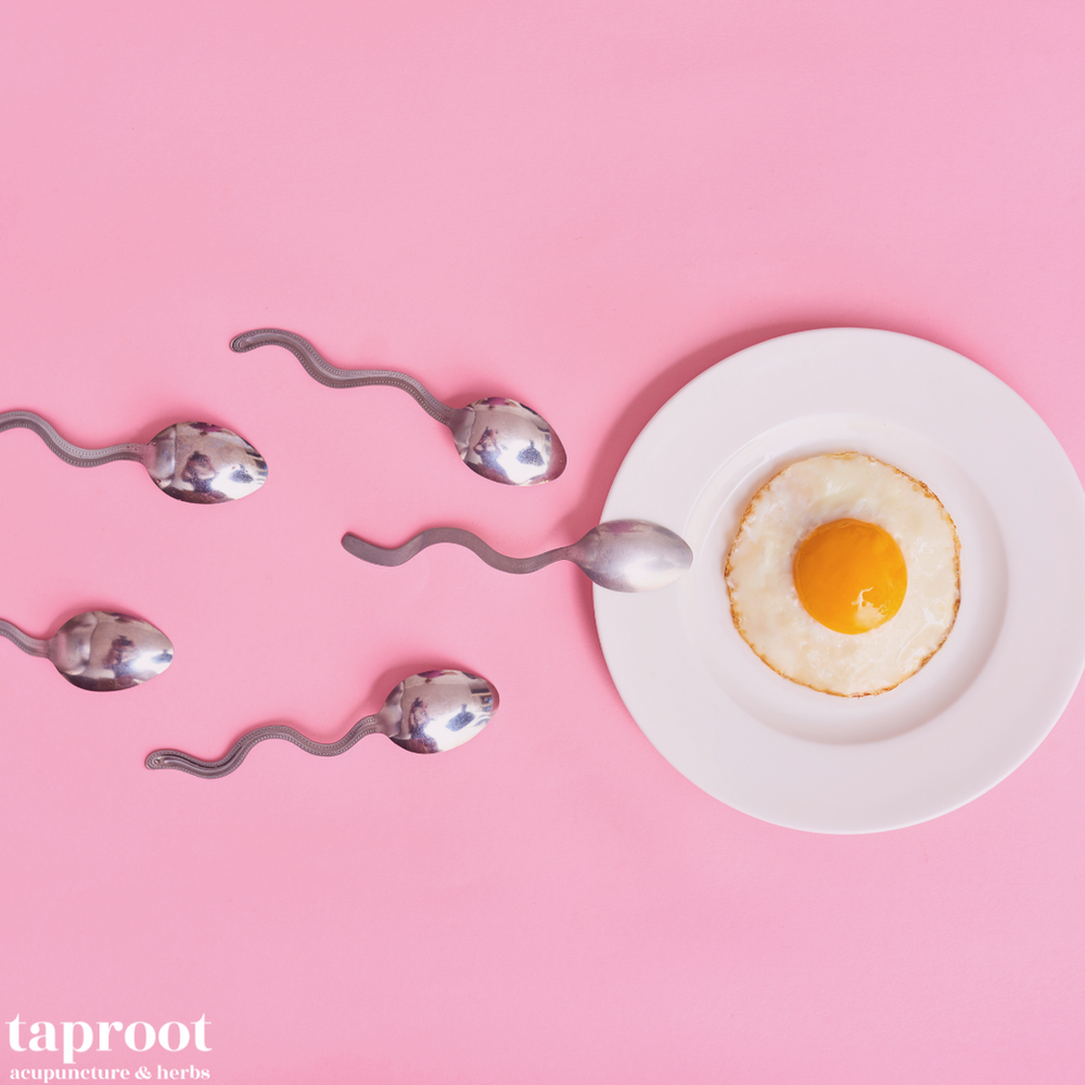 Cervical mucus, fertility & acupuncture