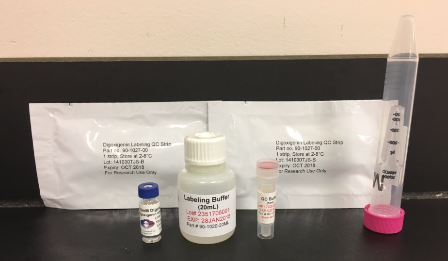 Biotinylation & Digoxigenin Labeling Kit | ANP Technologies®