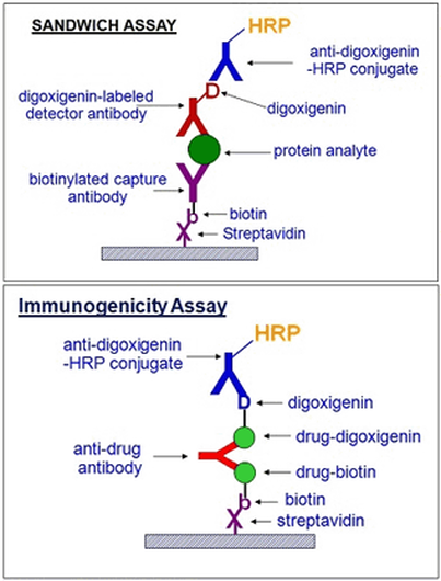 ANP Technologies® | Diagnositics FAQs