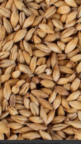 Carapils Malt (Weyermann) crushed | Worcester Hop Shop