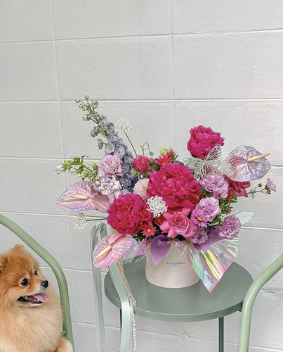 Born Pink pollen box | Ivy & Pollen