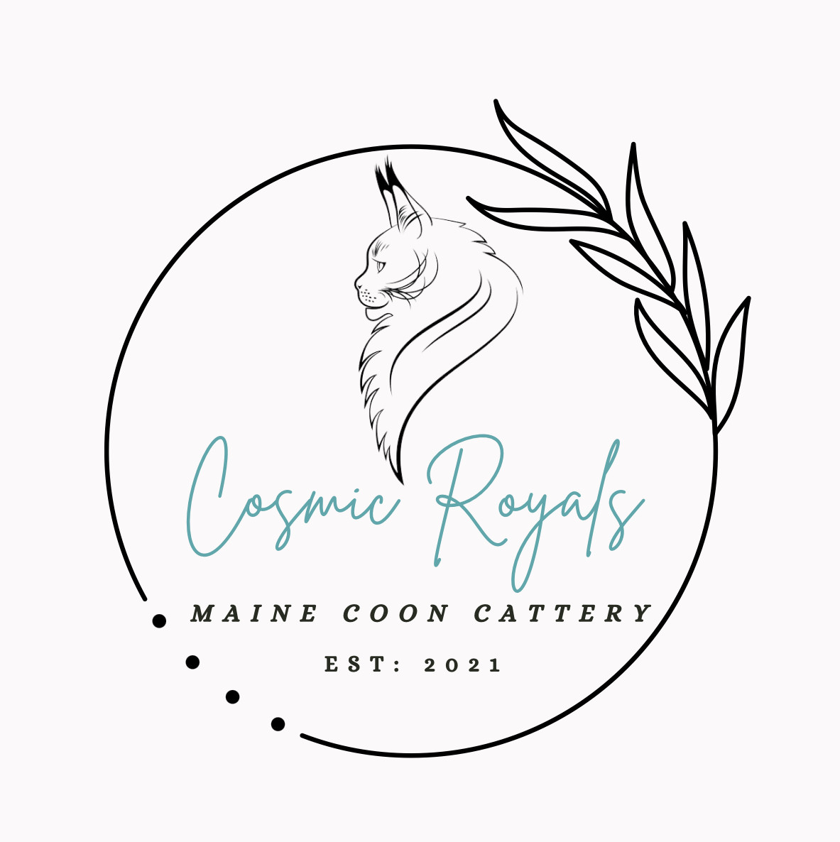 Available Kittens Cosmic Royals Cattery available-kittens-cosmic-royals-cattery