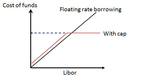 Interest Rate Options
