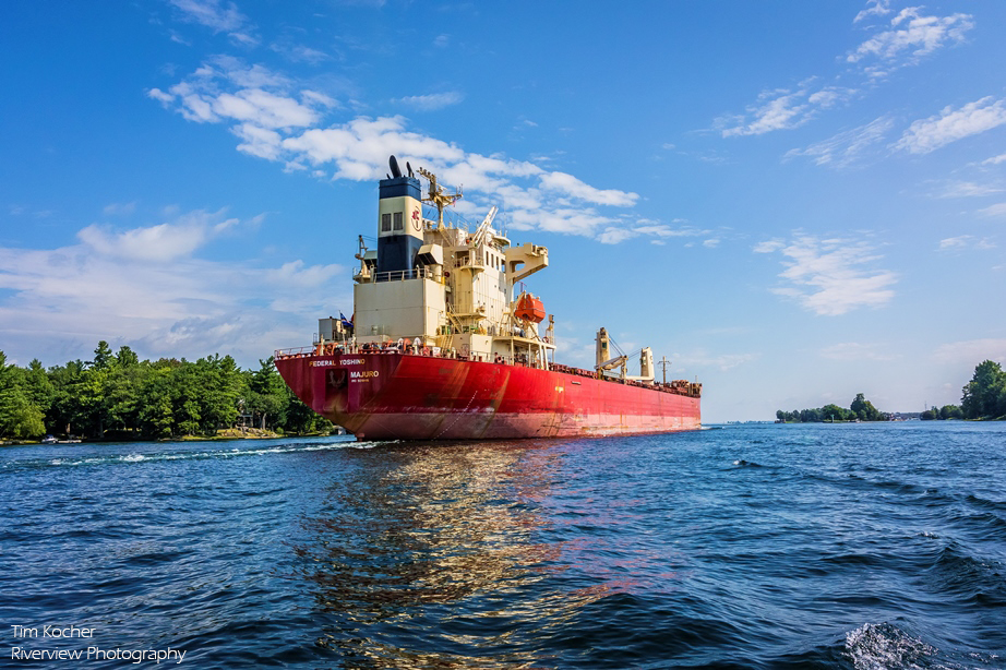 Vacation Rentals | Swan Bay Resort & Marina | United States