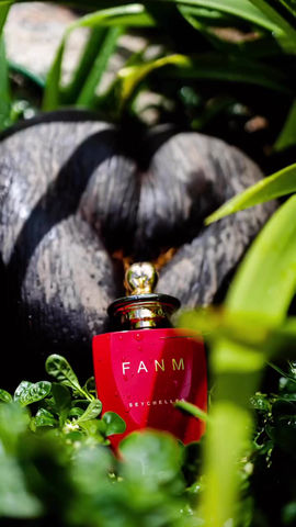 #Unreleased in Japan Seychelles scent "Coco De Mer Collection ...
