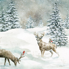 CR_Winter Wonderland | LSR Licensing