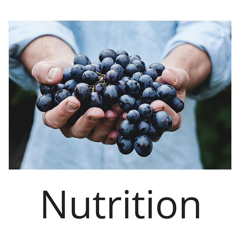 Home | flatonaddeptcenter