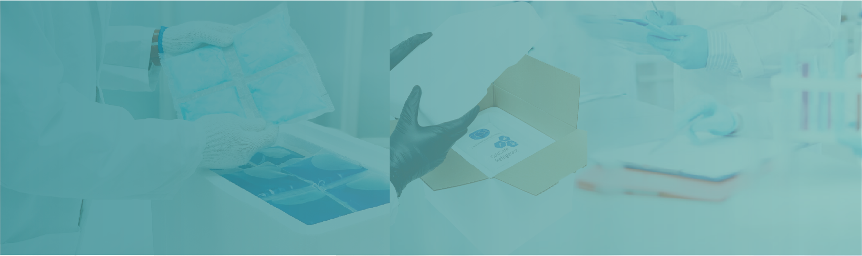 Refrigerants - Gel Packs, Water-Blankets | Cold Chain Science Enterprises