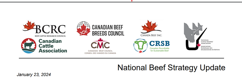 National Beef Strategy Update