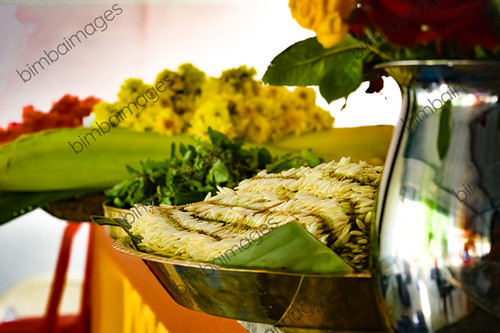 Jasmine flower - Mangalore, Udupi | Bimba Images