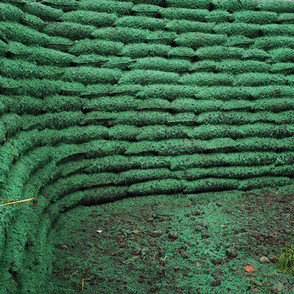 Rootlok | GeoGrow | Geotechnical Engineering | UK & Ireland