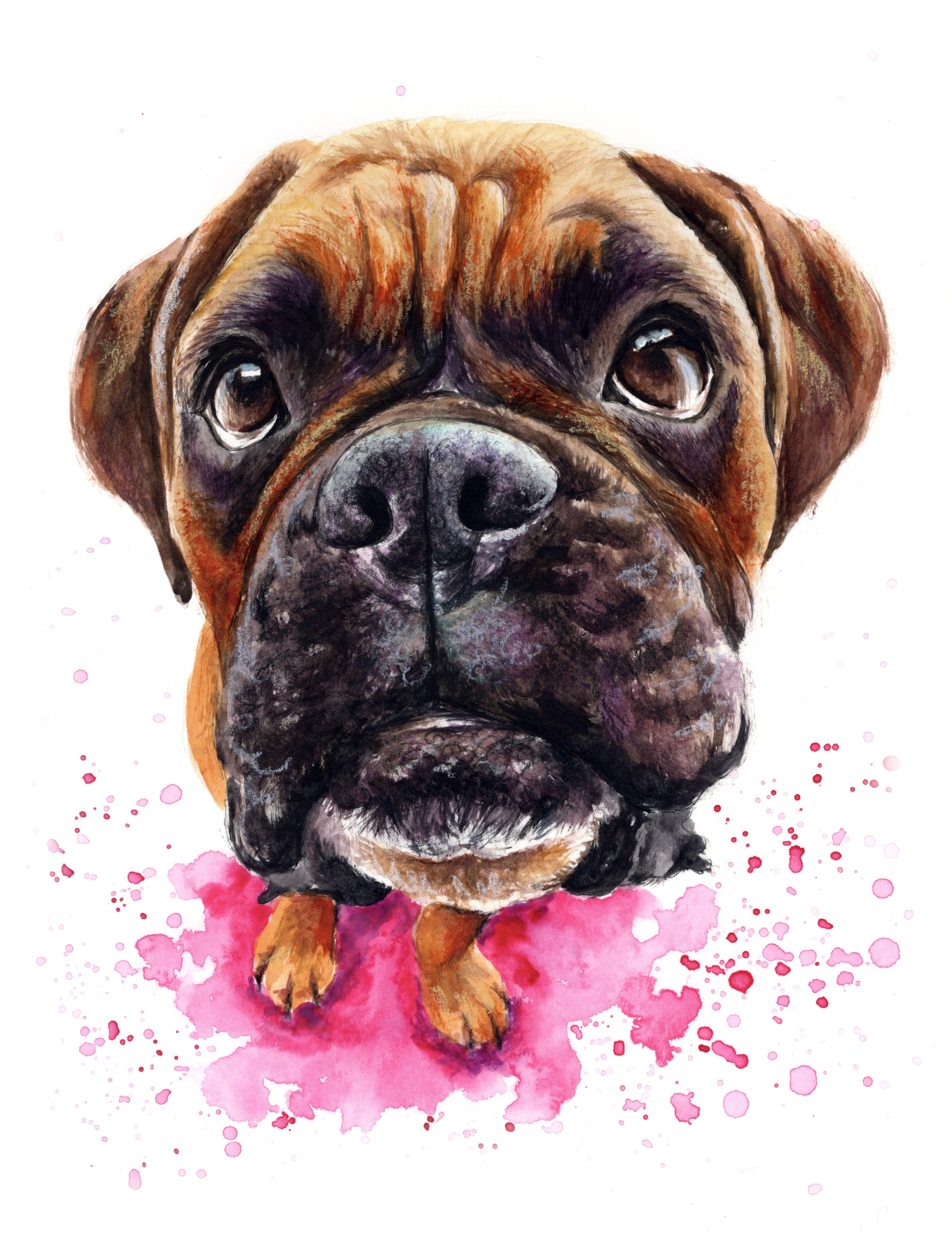 Astrid's Pet Portraits | Dog Portraits